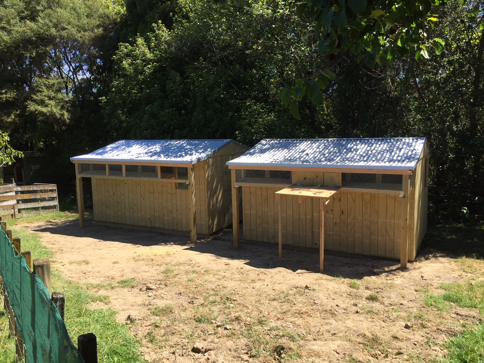 A perfect pigeon palace… | Garden Shed Central